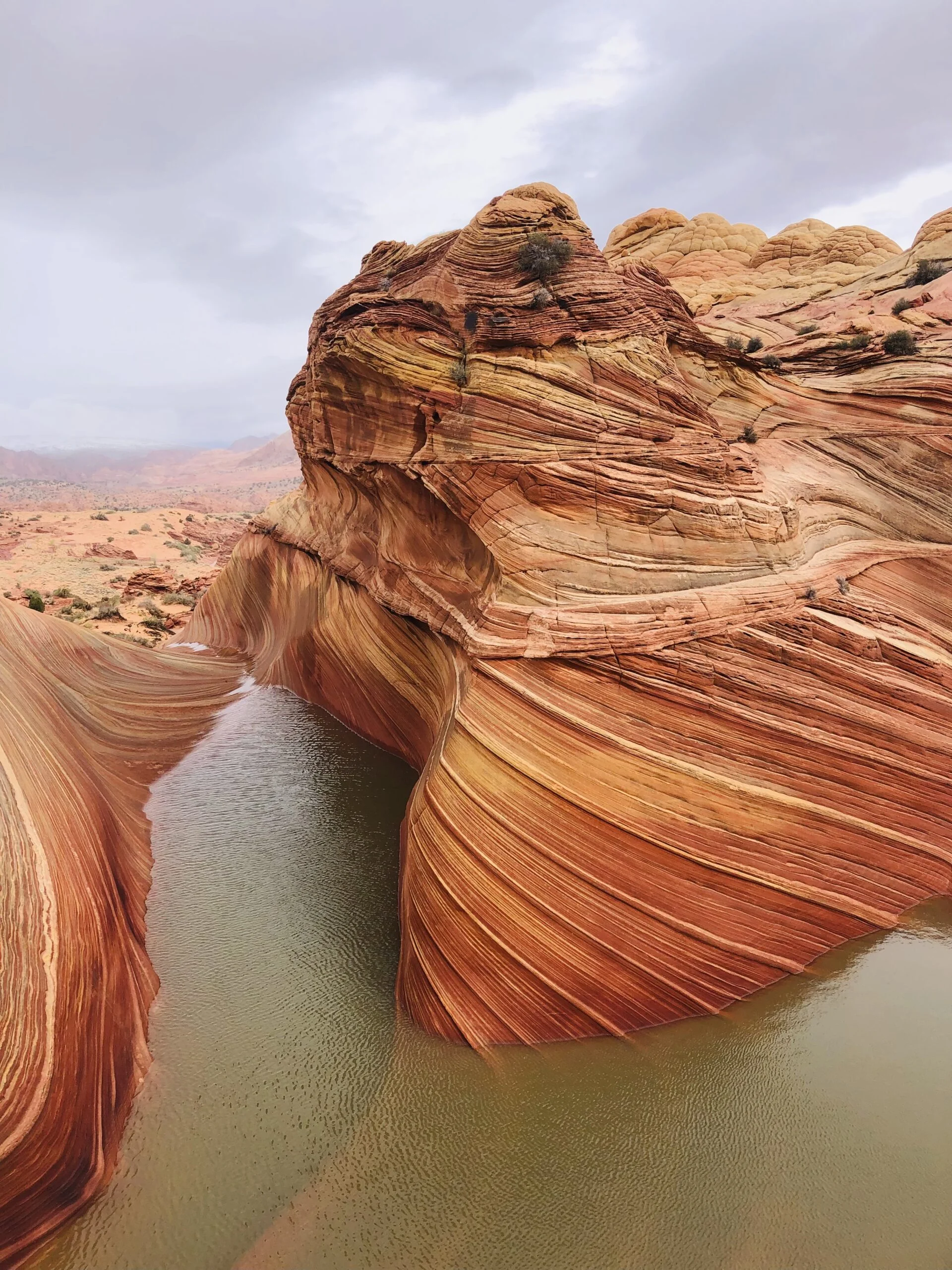 The Wave (Coyote Buttes North) - Coral Cliffs Tours & Townhomes