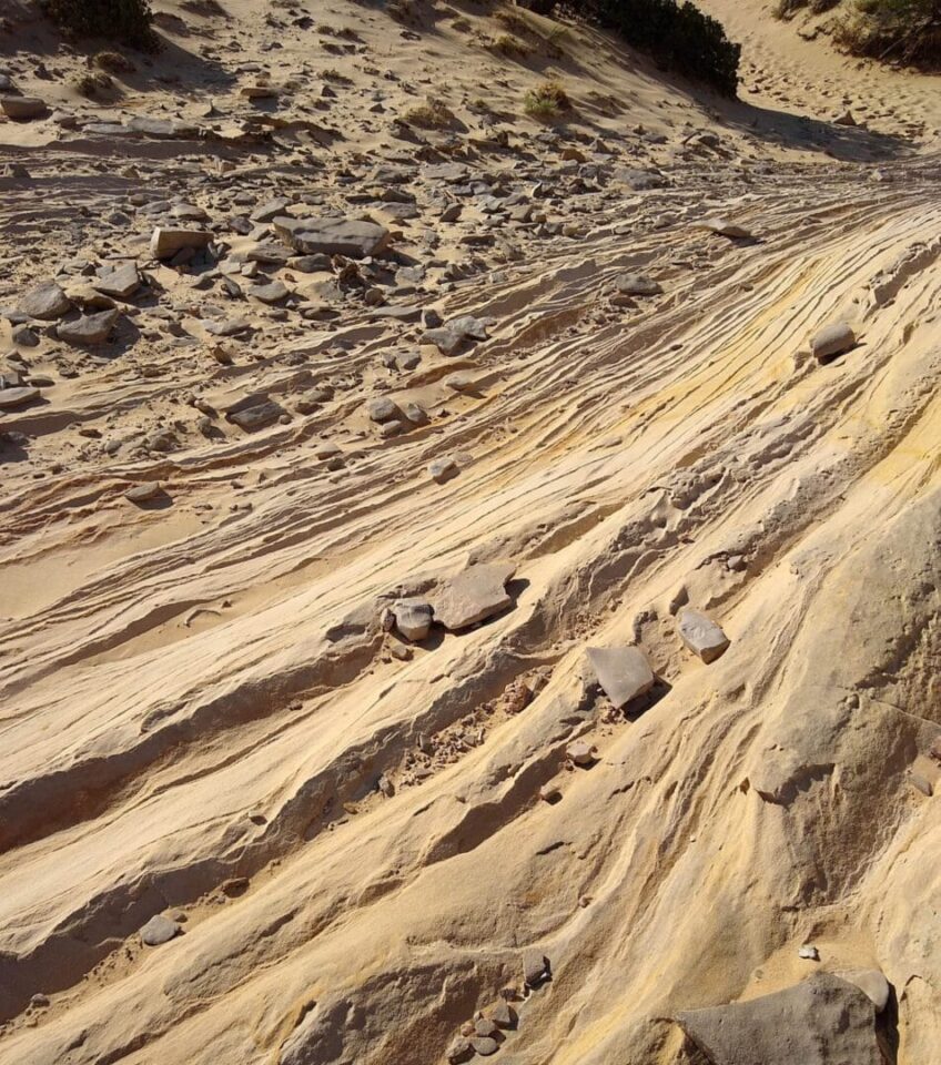 The White Wave - Coral Cliffs Tours & Townhomes