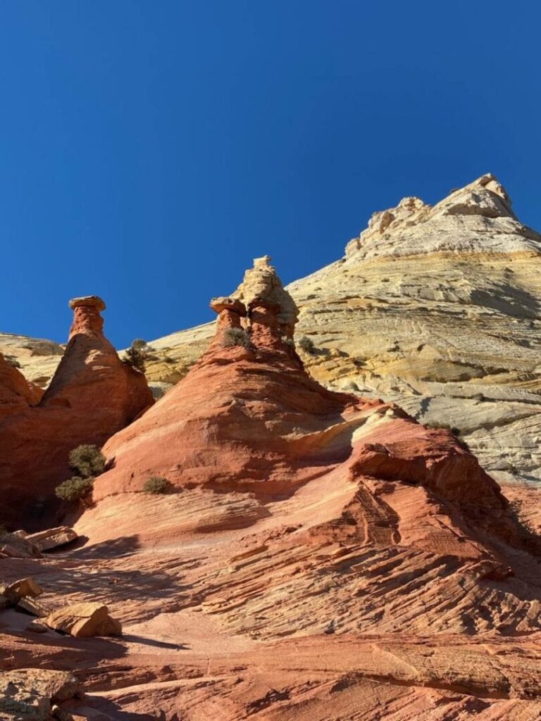 Candy Corn Toadstools - Coral Cliffs Tours & Townhomes